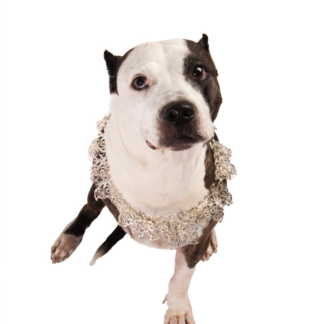 Joseph Knight - FilmFreeway