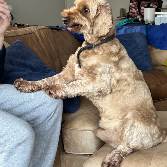 Louie Adams - FilmFreeway