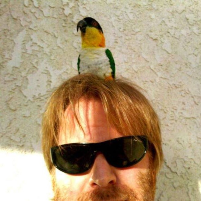 Greg McDonald - FilmFreeway