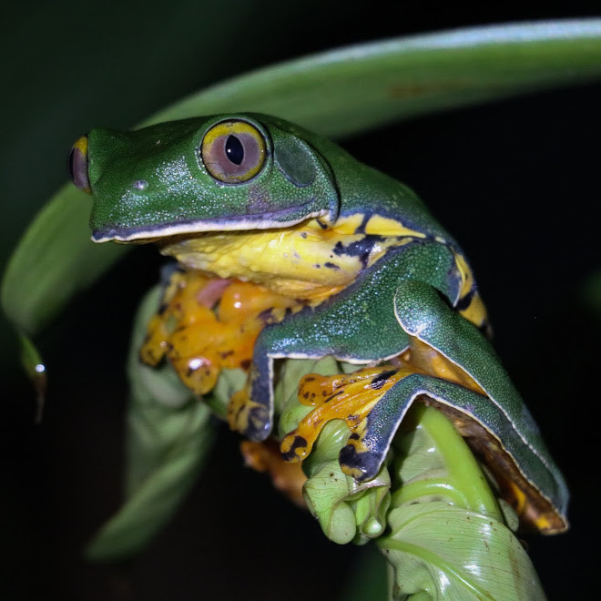 Trevor Ritland - FilmFreeway