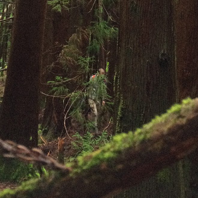 Peter Polgár - FilmFreeway