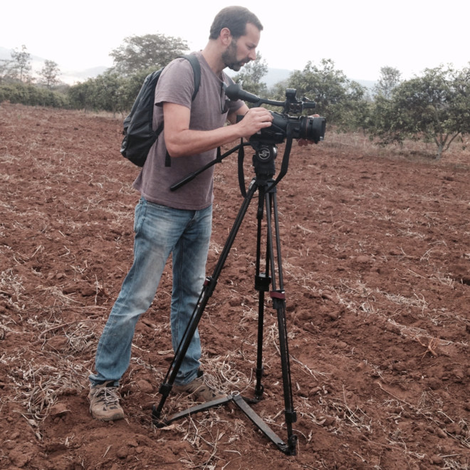 sam cole - FilmFreeway