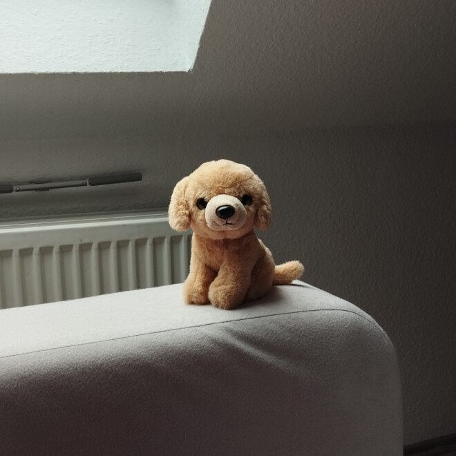 Robin Krause - FilmFreeway