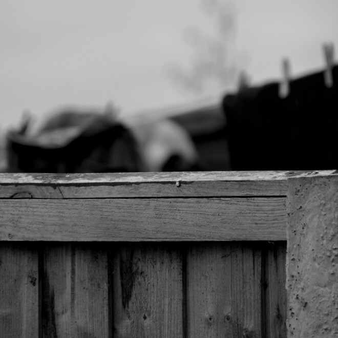 Lewis Donellan - FilmFreeway