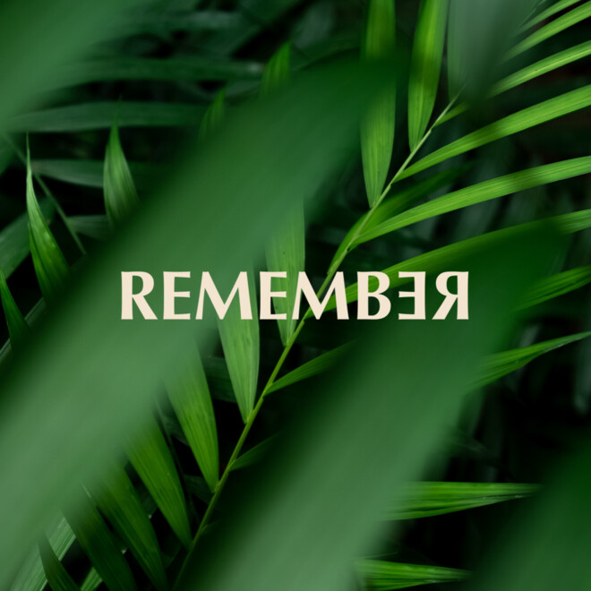 Remember Project - FilmFreeway