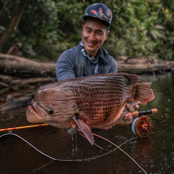 Mervyn Tan - FilmFreeway
