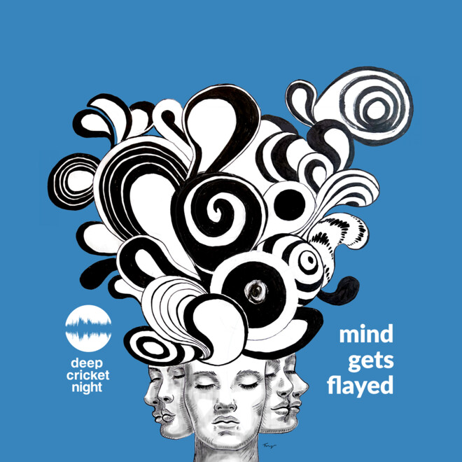 Deep Cricket Night Music Film - FilmFreeway