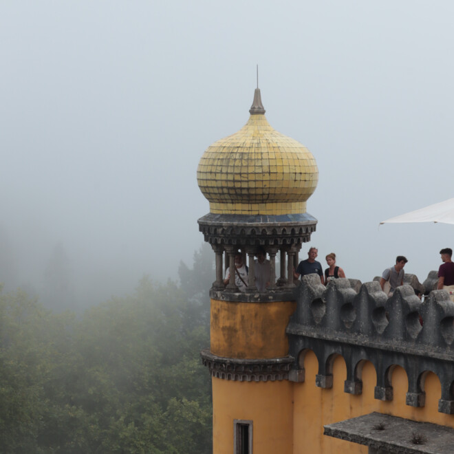 Miguel Vieira - FilmFreeway