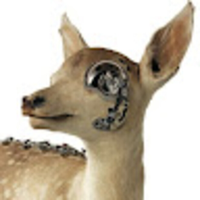 ruby becker - FilmFreeway