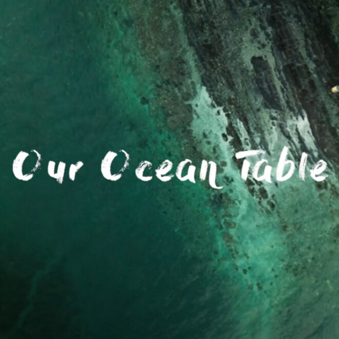 Our Ocean Table Docu-Series - FilmFreeway