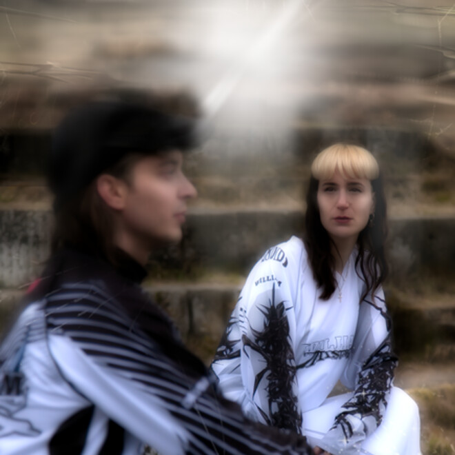 AWA LION - FilmFreeway