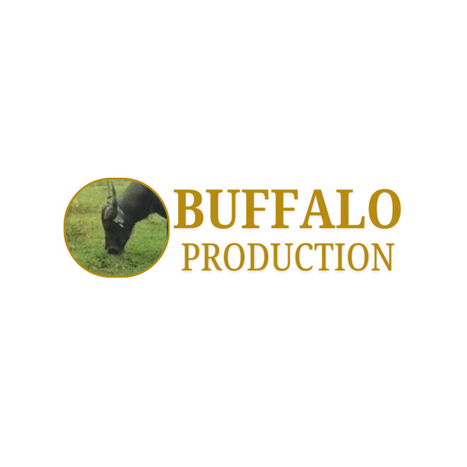 Buffalo Production - FilmFreeway